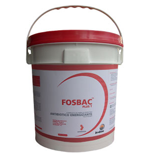 Pharmavet Maroc :: Anti-infectieux